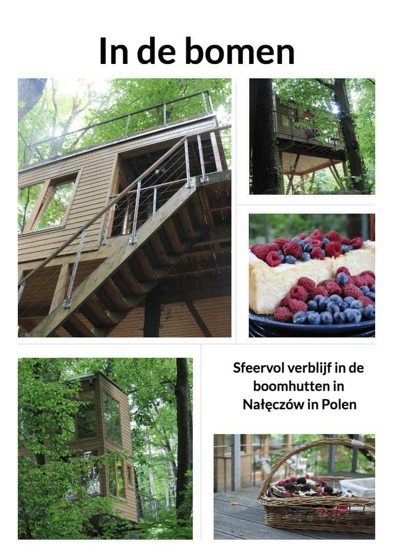 In de bomen - Meer over Polen