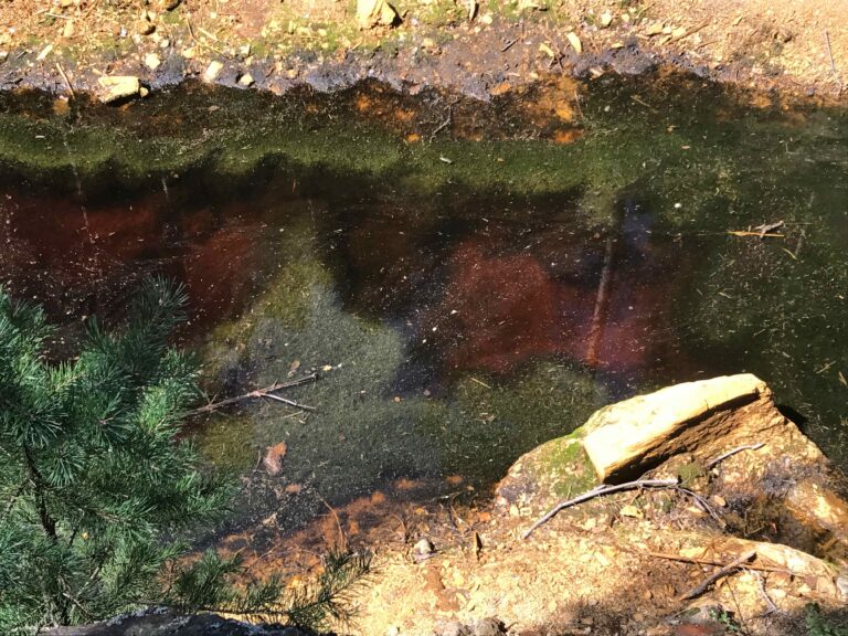 Gekleurde meertjes - Meer over Polen