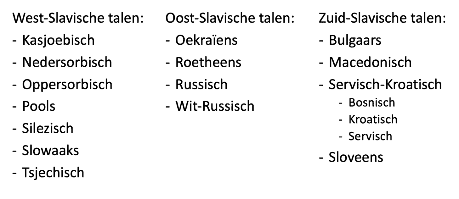 Waar komt de Poolse taal vandaan? - Meer over Polen